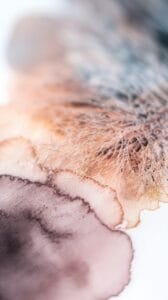 Unlock Your Creativity with Water Drawing Techniques